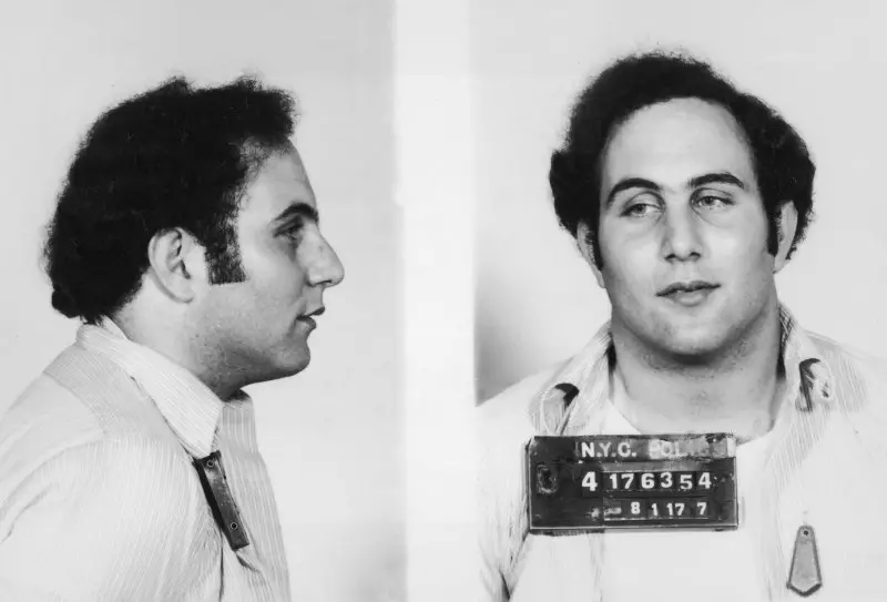 David-berkowitz-wali-nool