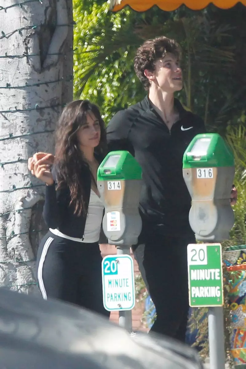 Shawn Mendes o loʻo faʻaalia se PDA ma Camila Cabello i LA