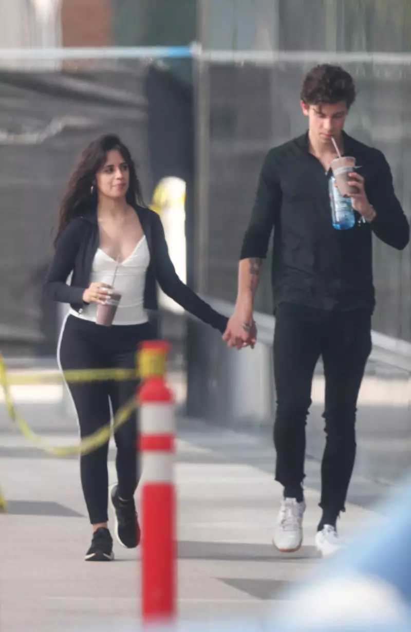 Shawn Mendes Toant wat PDA mei Camila Cabello yn LA