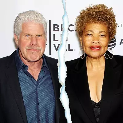 Ron Perlman သည် အိမ်ထောင်သက် ၃၈ နှစ်အကြာတွင် ကွာရှင်းရန် တိုင်ကြားခဲ့သည်။