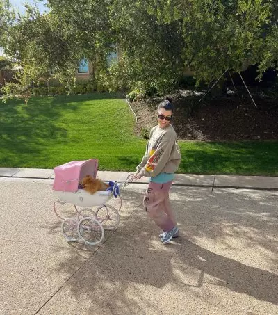 Kourtney-kardashian-stroller-feature