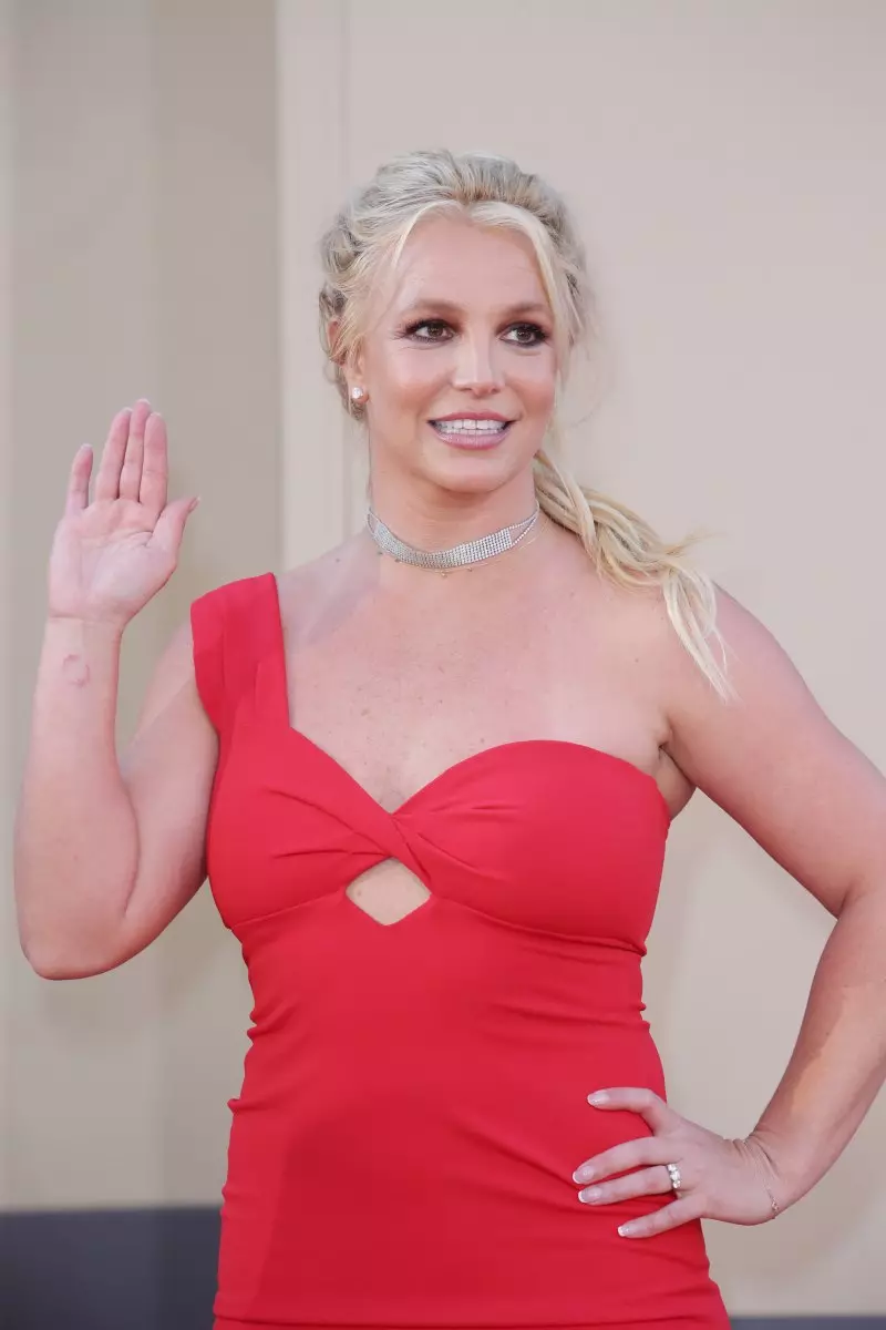 Britney Spears Conservatorship Salaye