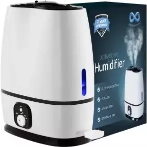 Kendall-jenner-humidifer