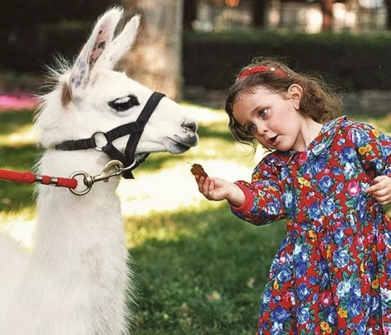 paris-jackson-llama