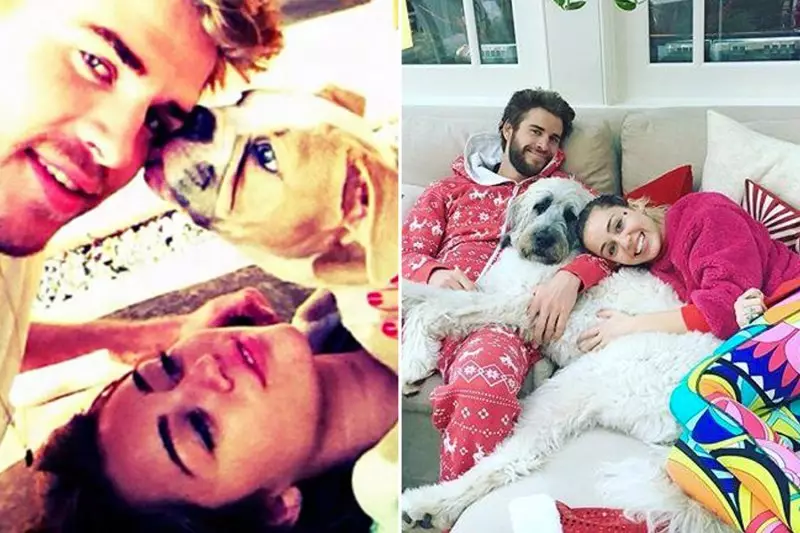 miley-liam-dog