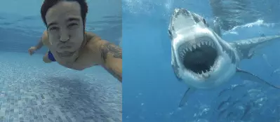 shark photobomb 2