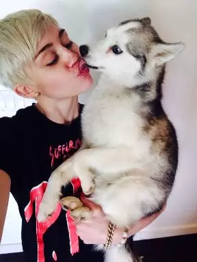 la hundo de Floyd Miley