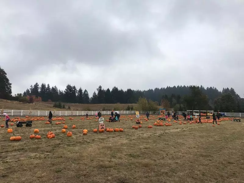 Roloff Farms hat so viel Spaß zu bieten Machen Sie eine Tour durch das weitläufige Anwesen der LPBW-Familie