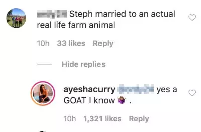 Ayesha Curry atsimuša į trolį, kuris vadina ją ūkio gyvūnu