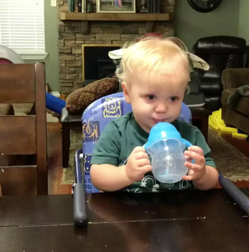 Henry Seewald dia nitsambikina tamin'ny Sippy Cup